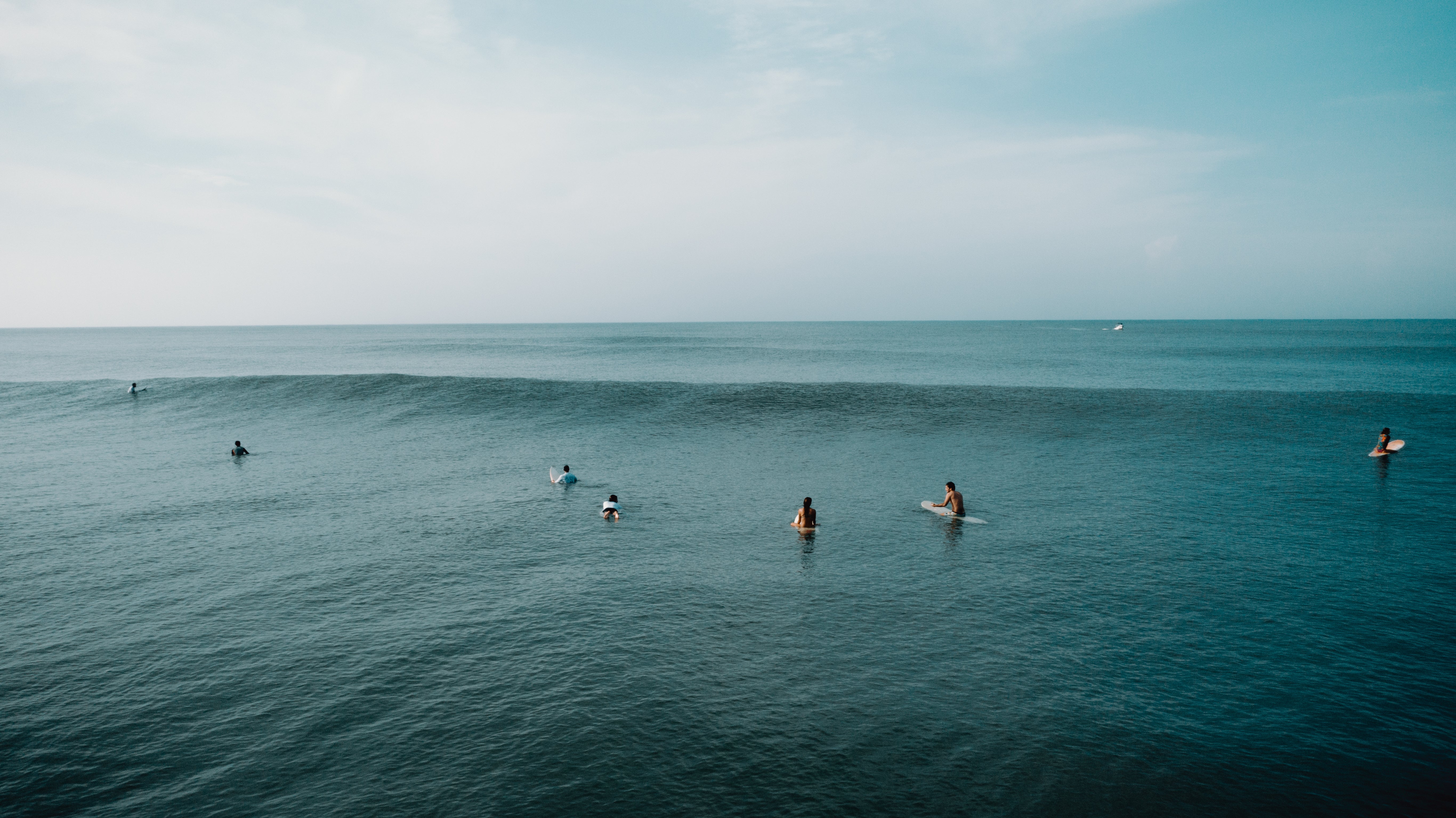 How to celebrate World Ocean Day and help protect the oceans – CECO